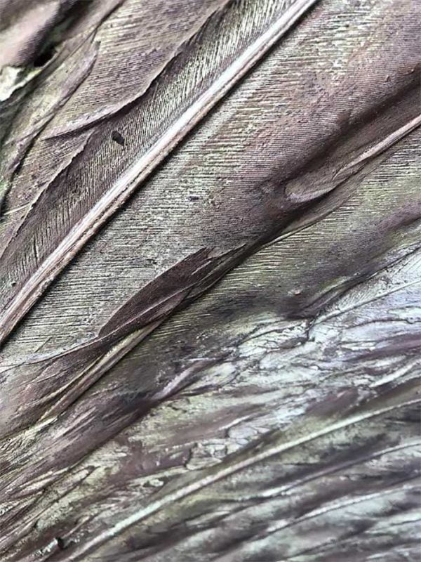 Daniela Bradley – Redegeneration (Close Up) - JEFA Gallery